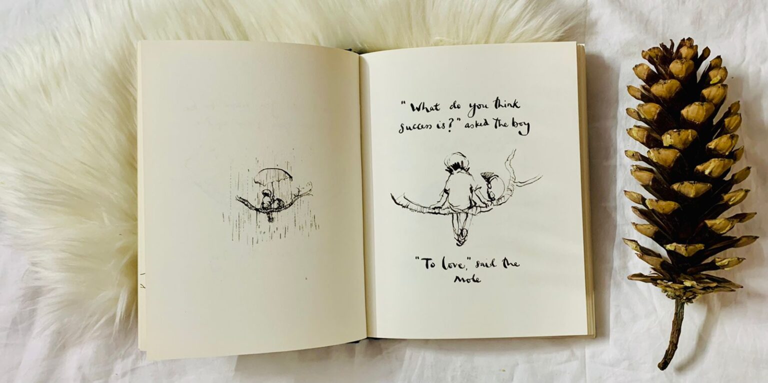 The Boy, the Mole, the Fox and the Horse Quotes & Book Review
