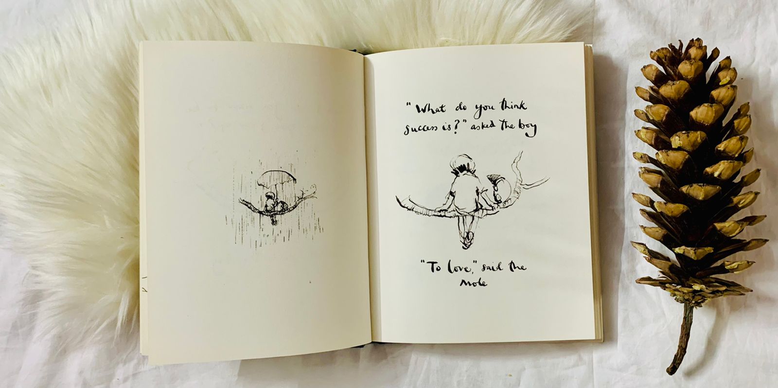 The Boy, the Mole, the Fox and the Horse Quotes & Book Review